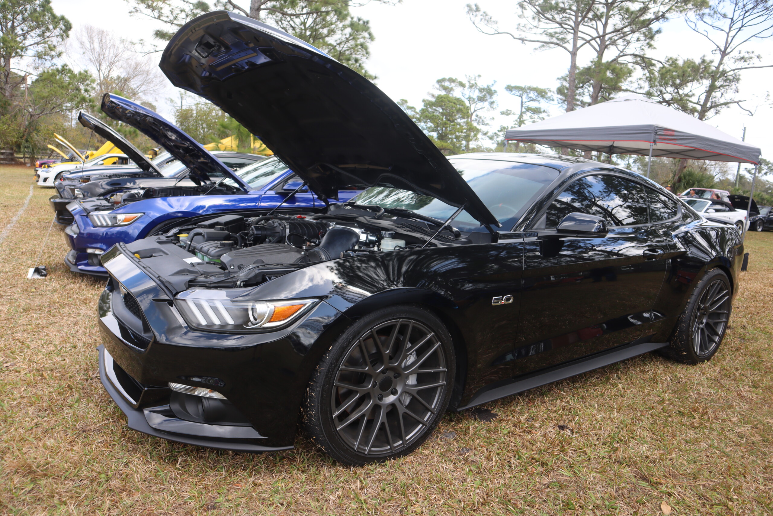5 Favorite Mustangs From The VMP Performance Car Show