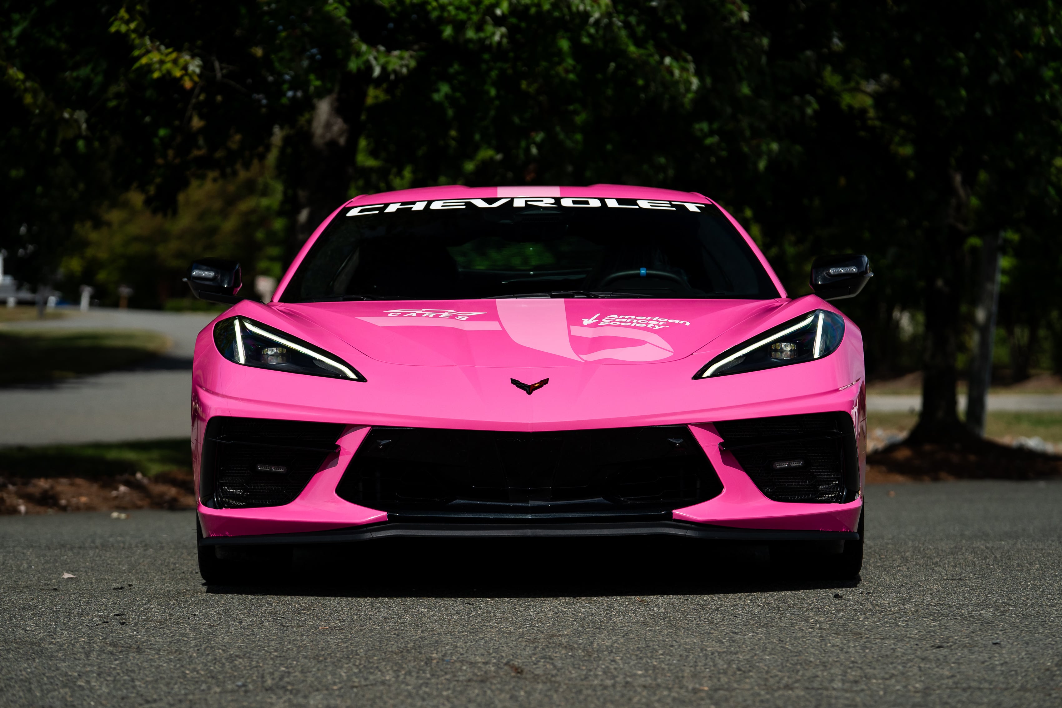 Pink Corvette Stingray Paces NASCAR for Charity