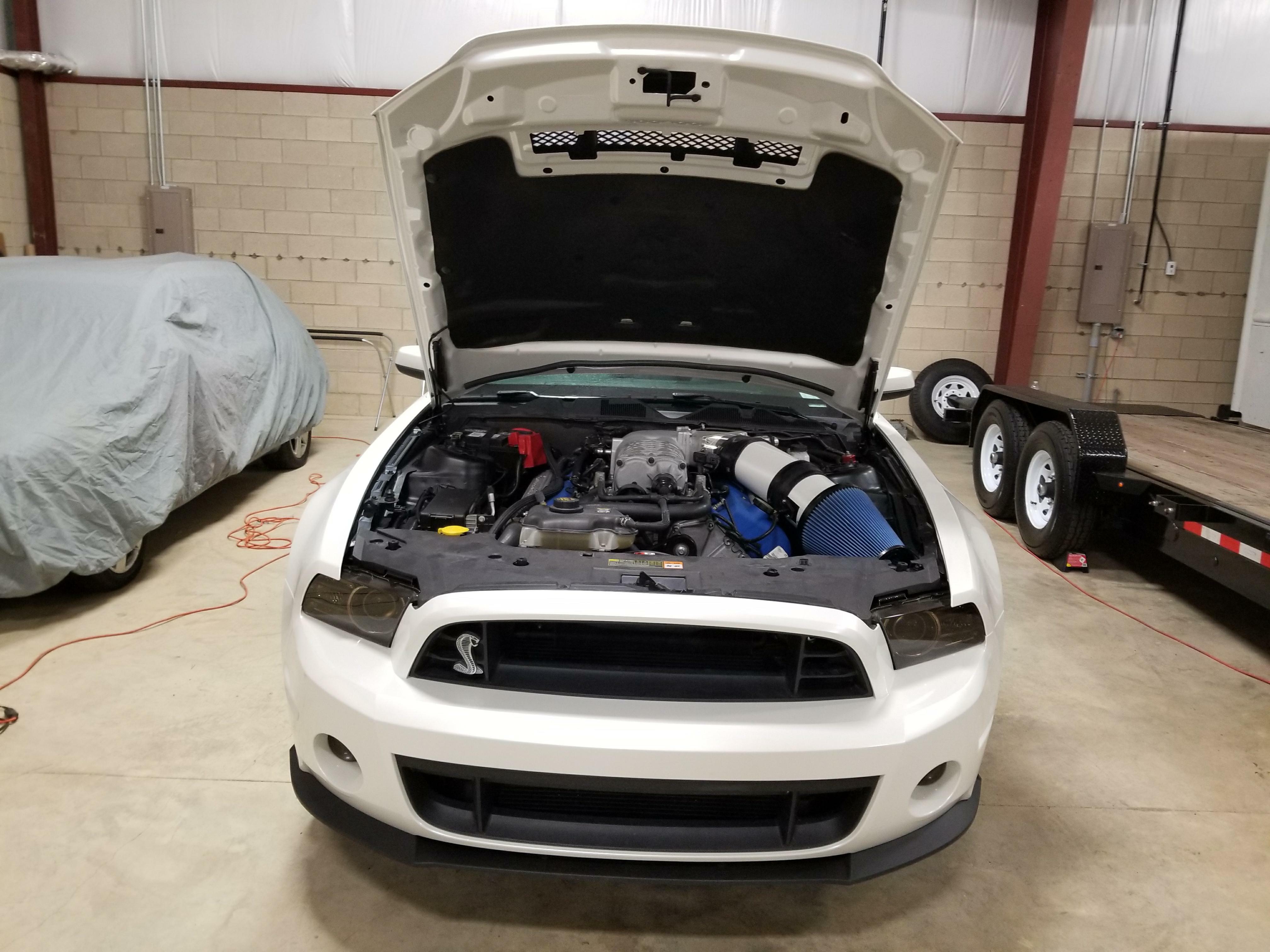 Justin Young's GT500's New Look: Achieving the Perfect Wrap